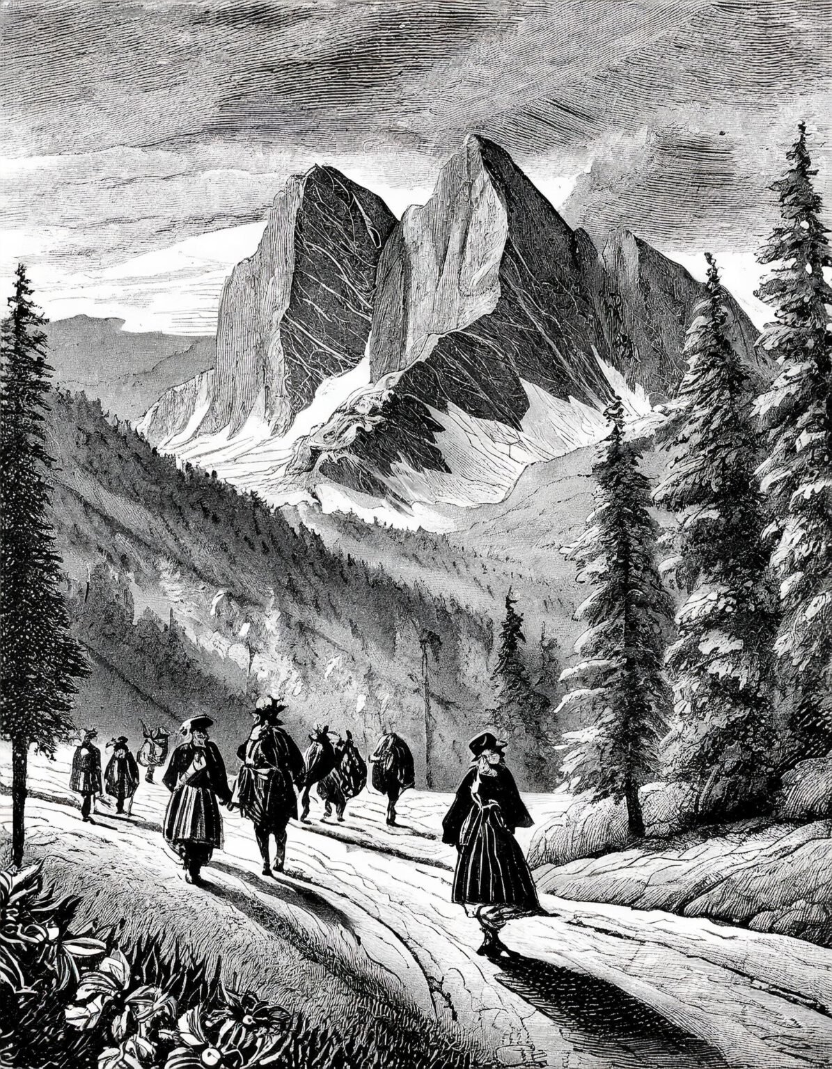 Die Donner-Party - 600 Jahre Donner Henauer Pantele Schulze
